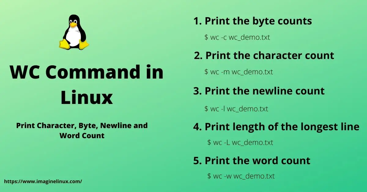 WC Command In Linux How To Print Character Byte Newline And Word 