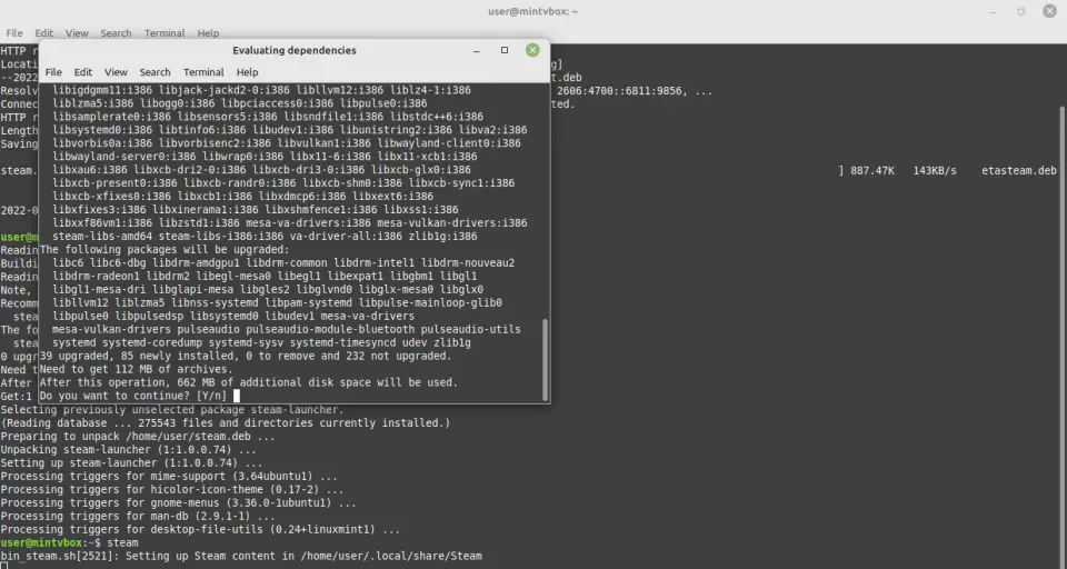 How to Install Steam on Linux Mint 20 - ImagineLinux